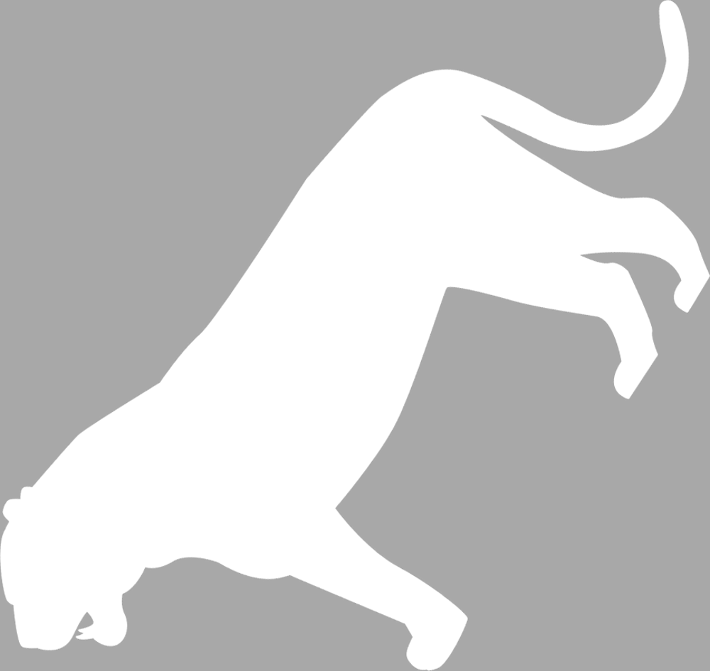 İkon Puma Stencil Boyama şablonu 30x30 cm, Duvar Stencil, Fayans ...