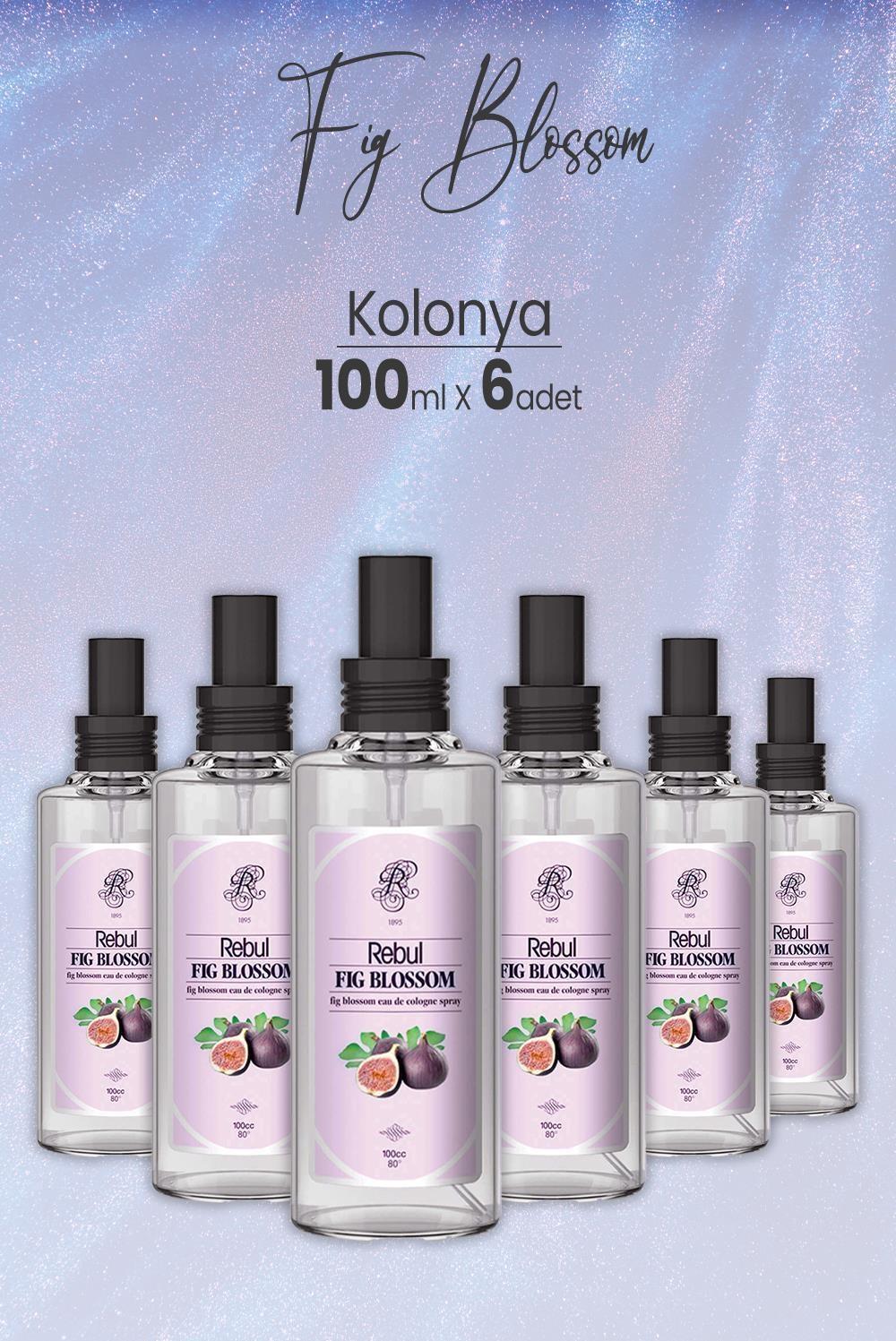 Rebul Fig Blossom Spreyli Cam Şişe İncir Kolonyası 100 ml x 6 Adet - idefix