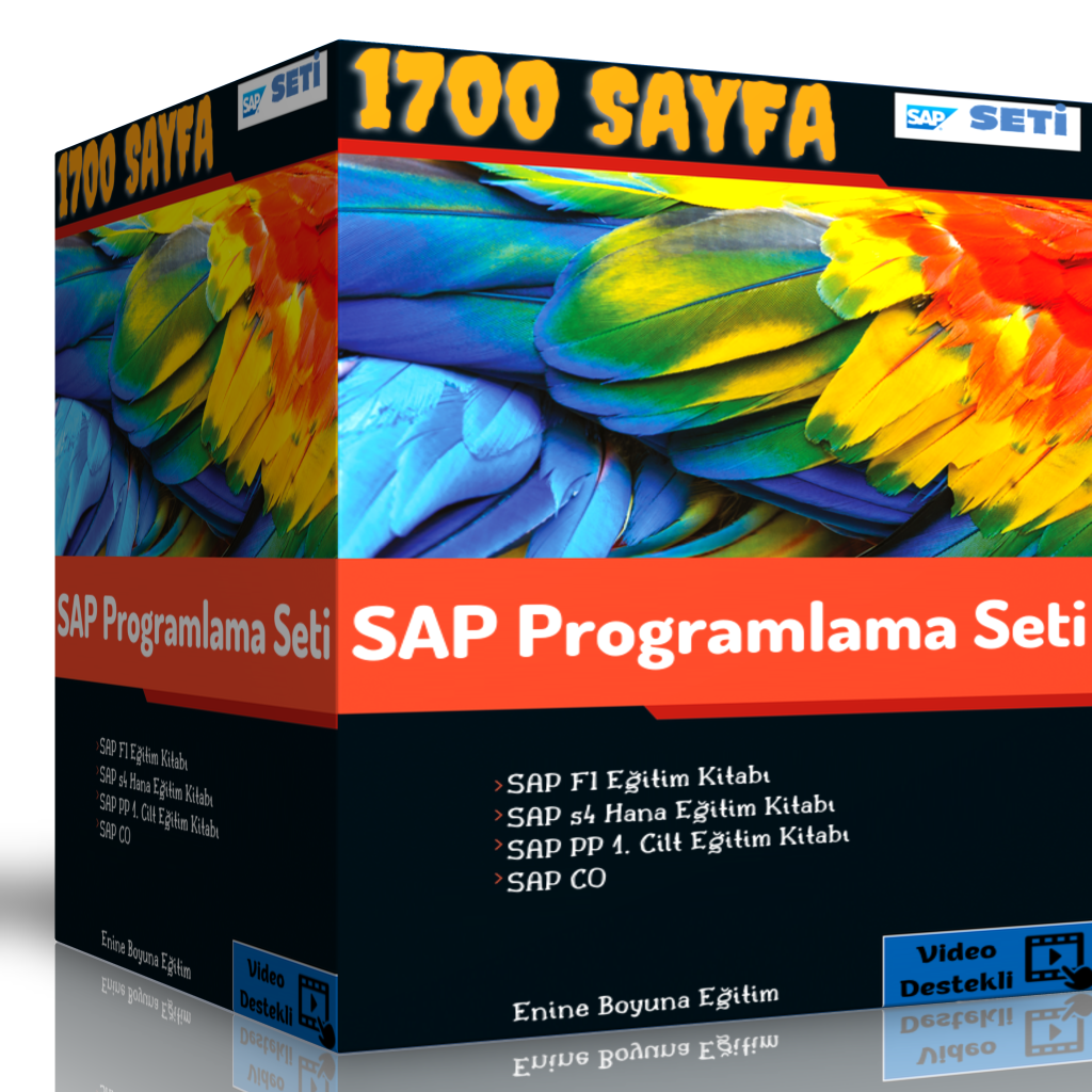 Sap Programlama Eğitim Seti (4 Süper Kitap) - Enine Boyuna Eğitim ...