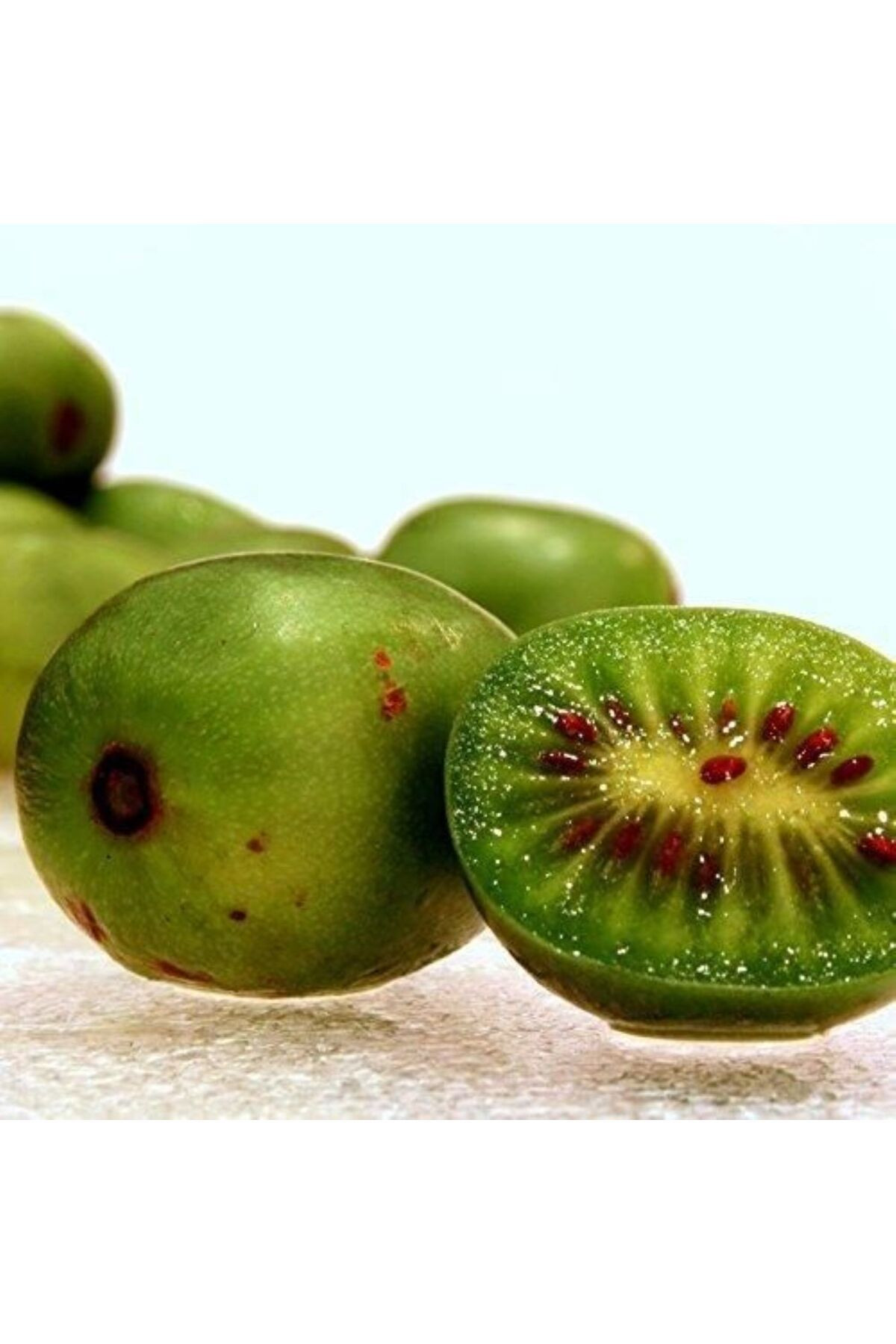 Bahçevilya 20-40 Cm Boyunda 1-2 Yaş Arası Mini Kivi (Actinidia Arguta ...