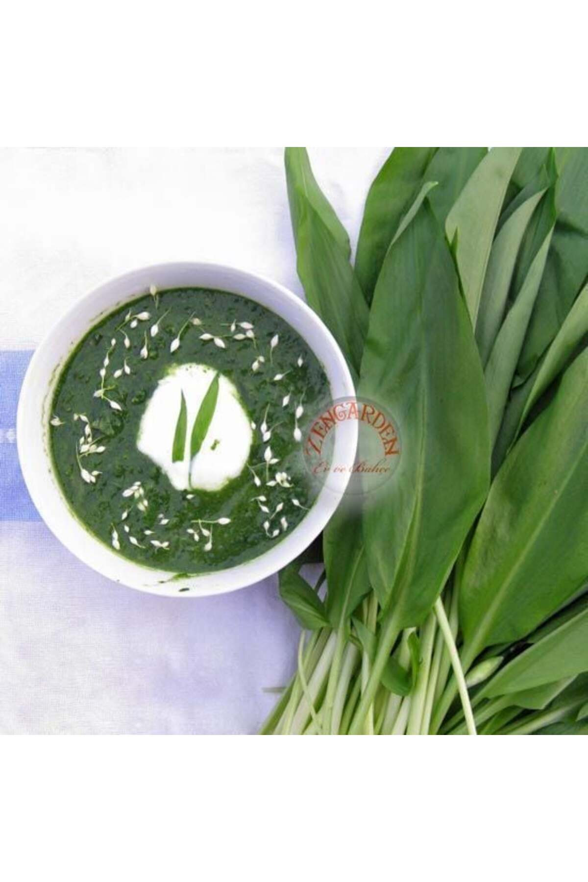Yabani sarımsak tohumu ayı sarmısağı ramsons wild garlic - idefix