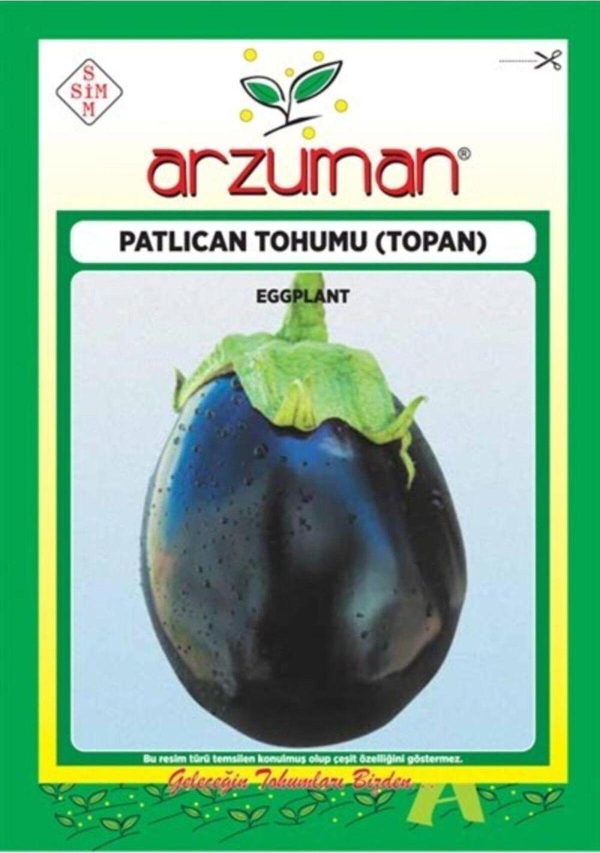 Arzuman Tohum Arzuman Sebze Topan Patlıcan Tohumu 10 gr - idefix