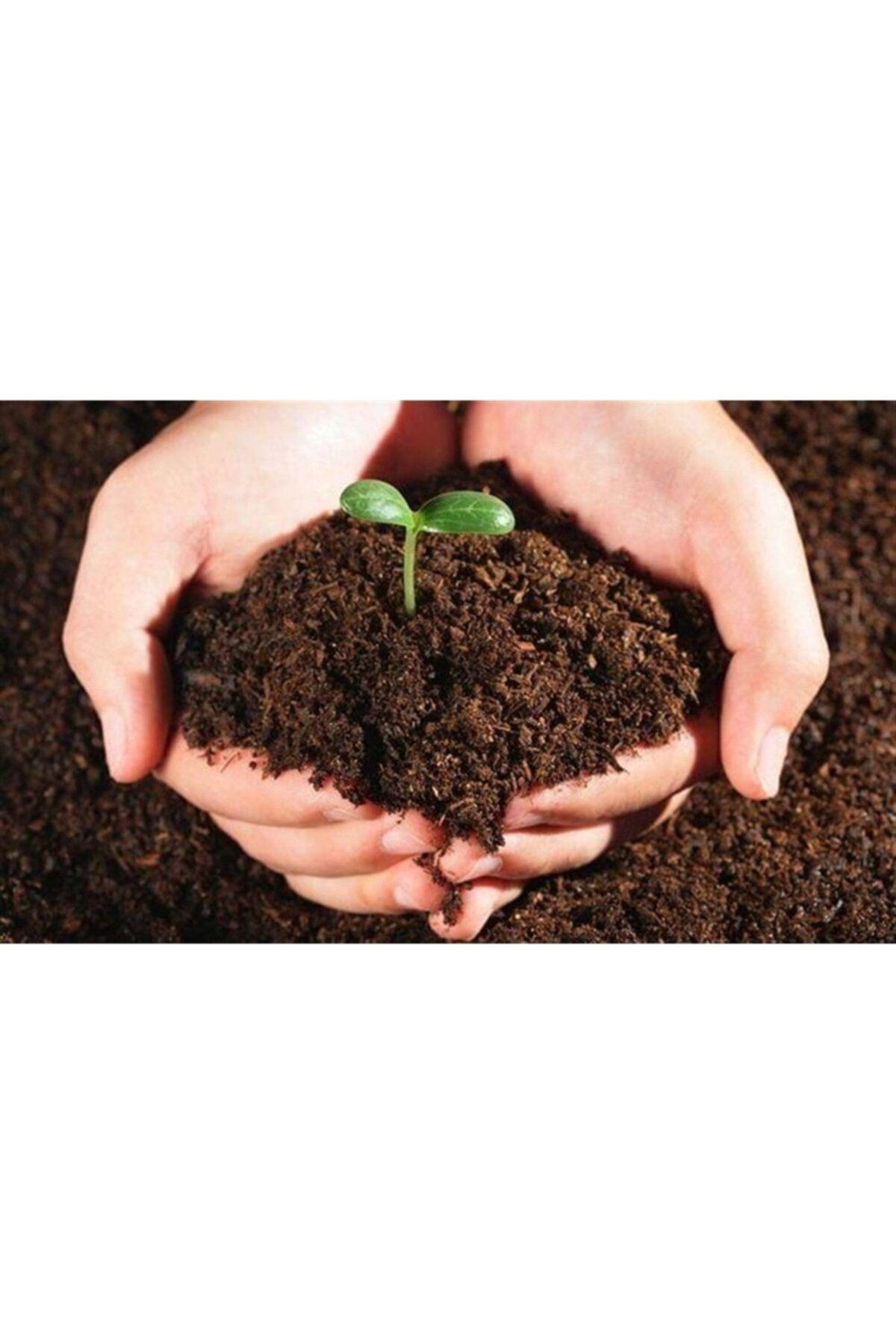 Yağmur Toft Toprak Bereket Doğal Humuslu Saksı Toprağı 10 Litre - idefix