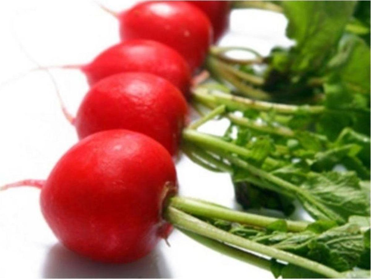 Minik Kırmızı Turp 100 Tohum - idefix
