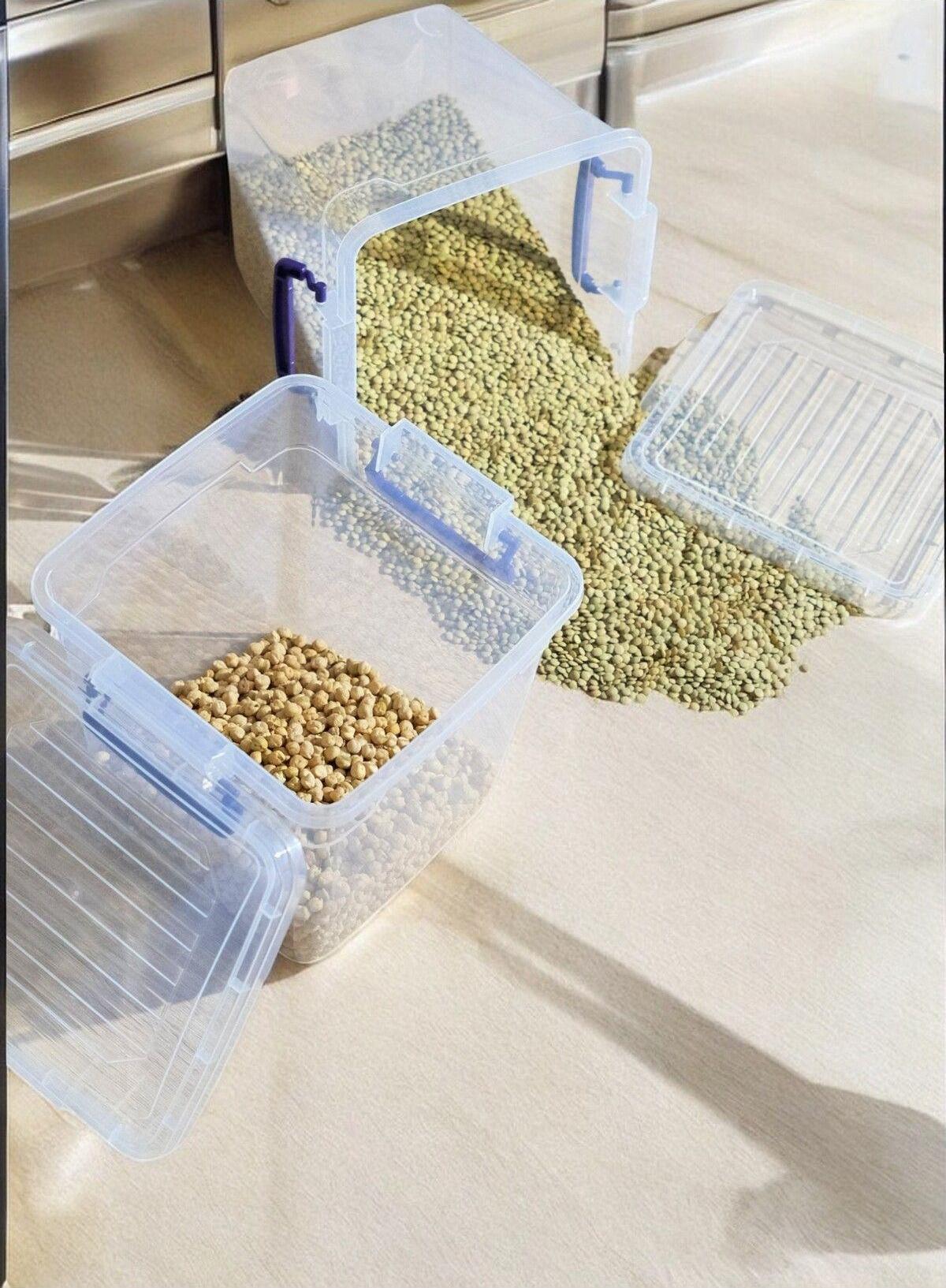 Biedda 7,7 Litre Plastik Kilitli Kapaklı Dikey Derin Bakliyat Saklama ...