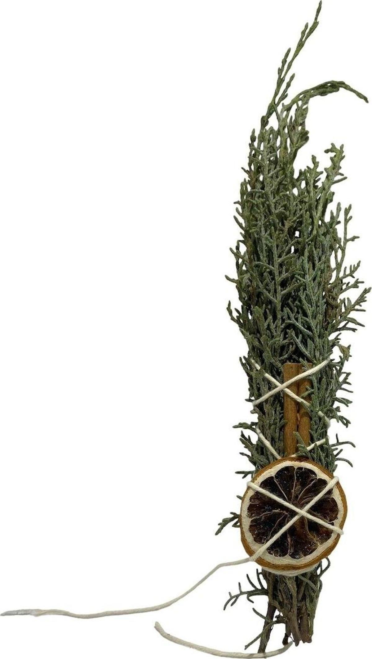 Guruyemiş Box Arizona Servi Bitki Tütsüsü Tarçın Ve Limonlu Doğal Çam ...