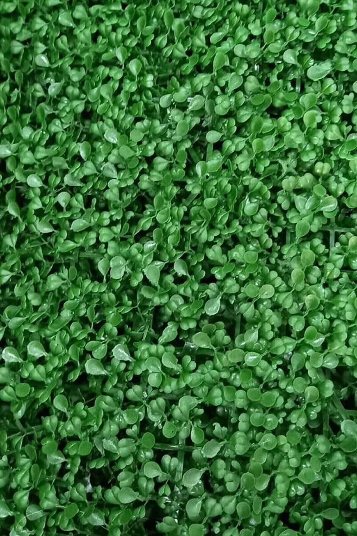 Ddpest 1 Adet Yapay Duvar Kaplama Panel Bitki Şimşir Tabaka 40X60 Cm ...