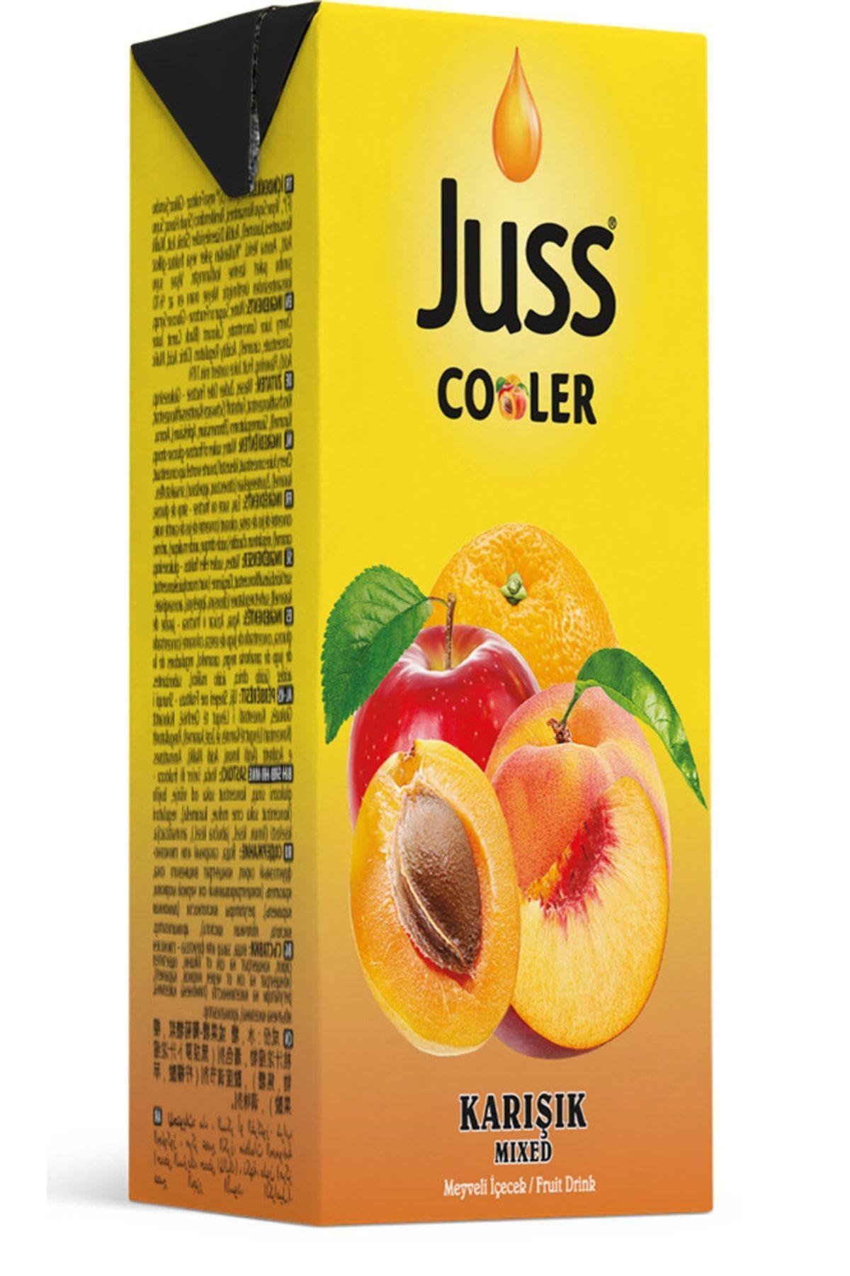 Juss Cooler Karışık Meyve Suyu 200 Ml X 27 Adet - idefix