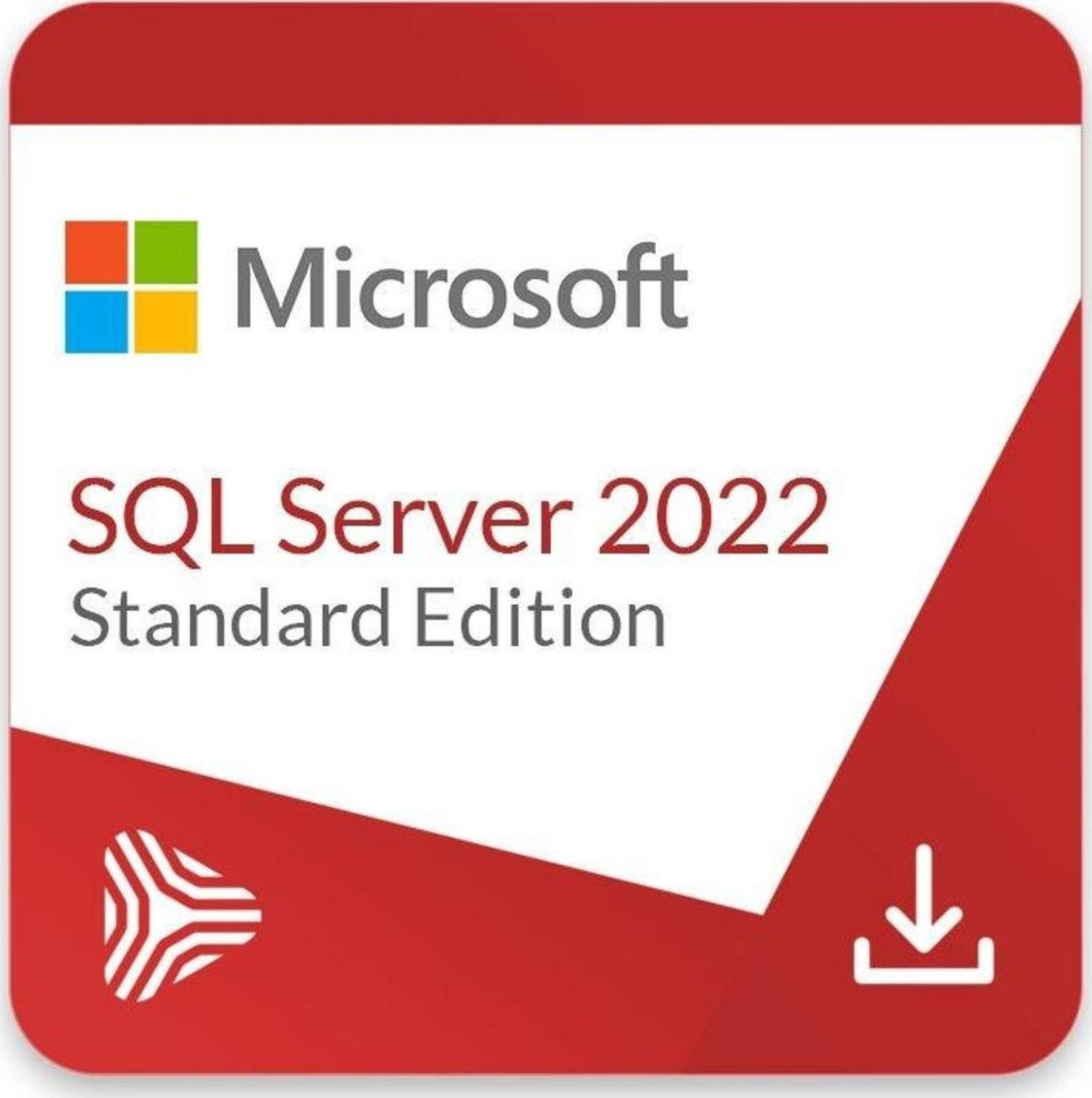 Microsoft Windows SQL Server 2022 Standard Edition Perpetual 1 Server ...