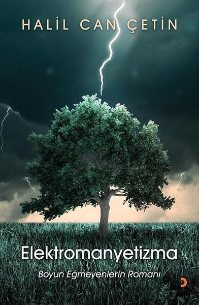 Elektromanyetizma-Boyun Eğmeyenlerin Romanı - Halil Can Çetin Kitabı ...