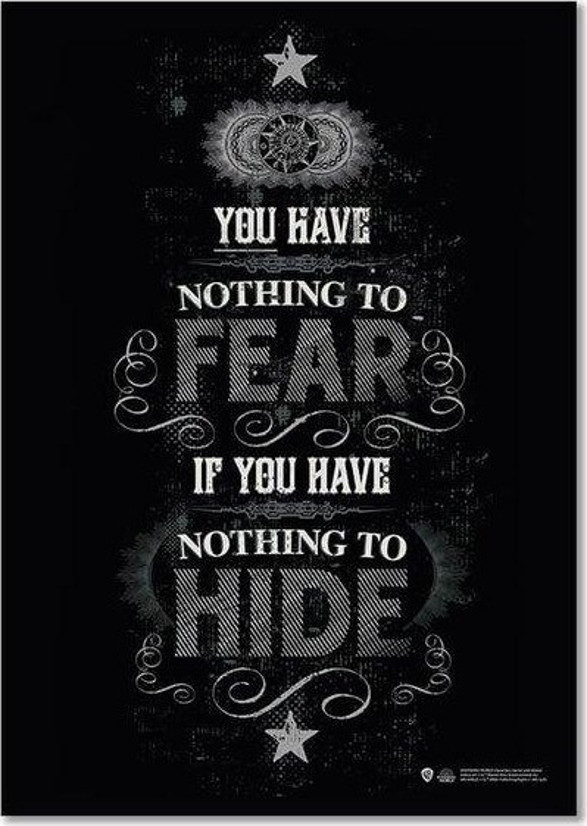 Harry Potter Wizarding World Fear & Hide Poster - idefix