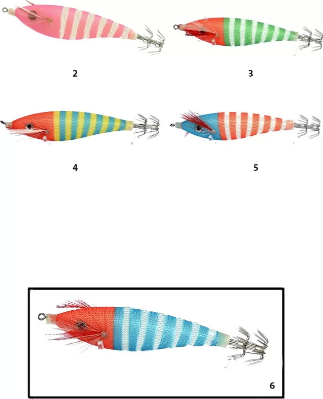 Captain 3004 Kalamar Zokası 8cm Zebra Squid 6 - idefix