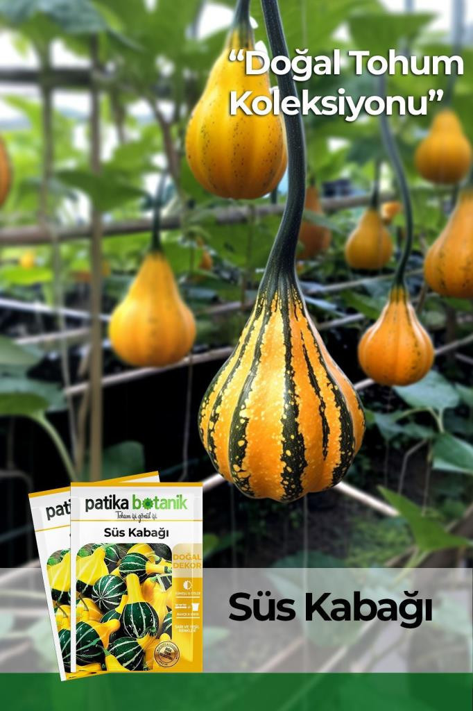 15 Adet Süs Kabağı Tohumu - idefix