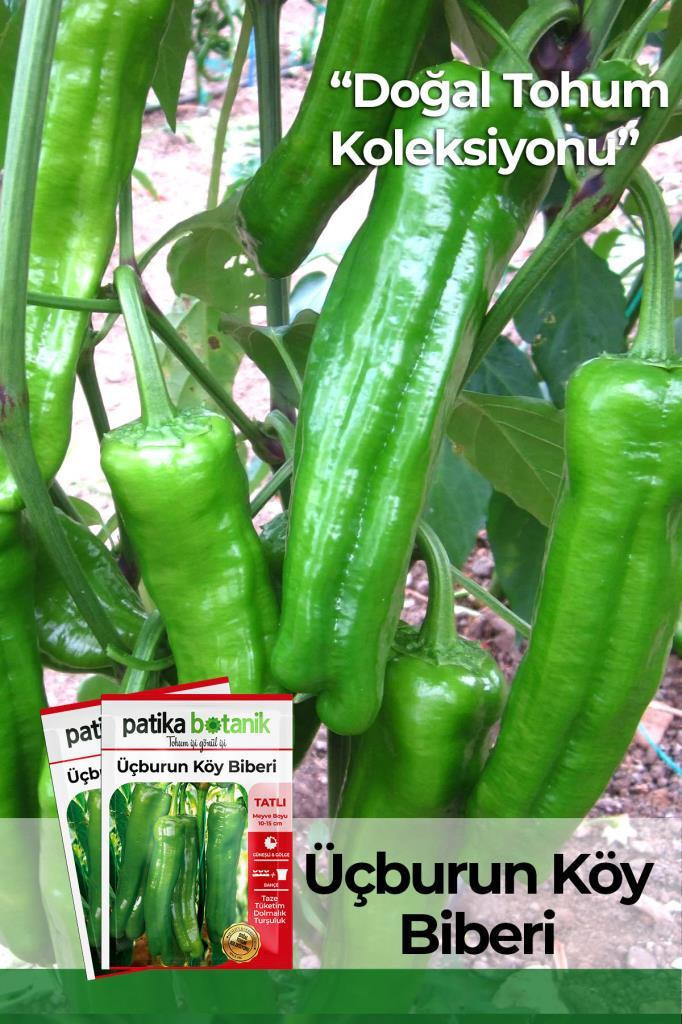 200 Adet Üç Burun Köy Biber Tohumu (Tatlı, Mazamort) - idefix
