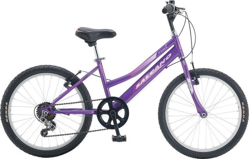 Salcano Excel Lady 20 Jant V Fren Çocuk Bisikleti 2025 Model Siyah Mor ...