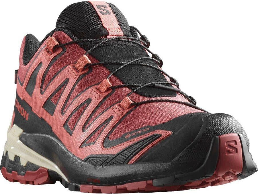 SALOMON XA PRO 3D V9 GTX KADIN OUTDOOR AYAKKABI - idefix