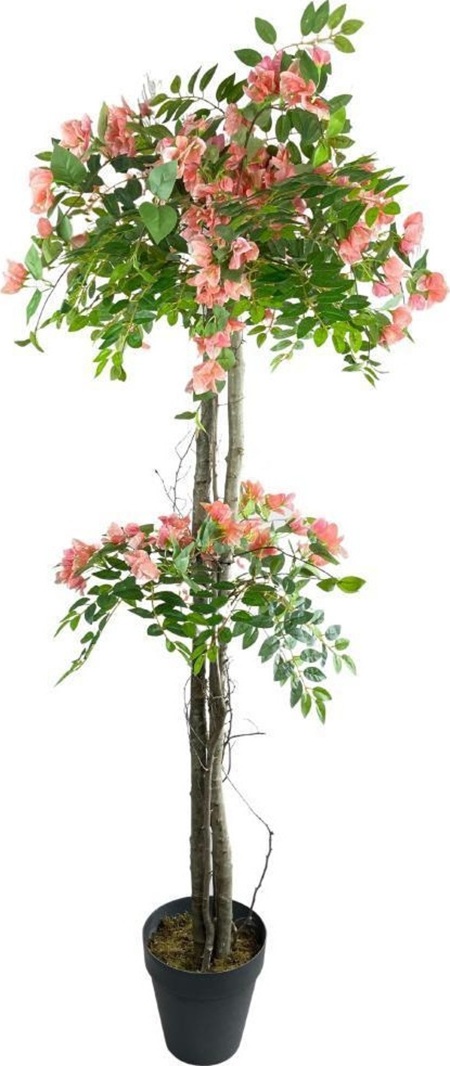 Netten Evime Yapay Ağaç Pembe Begonvil Ağacı 2Gövdeli Doğal Salex ...